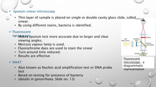recent microbial techniques & advancement in identifying, cultivating ...