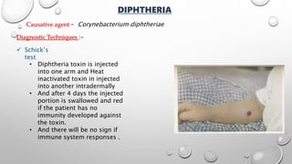 recent microbial techniques & advancement in identifying, cultivating ...