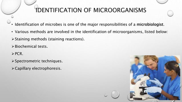 recent microbial techniques & advancement in identifying, cultivating ...