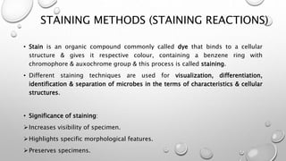 recent microbial techniques & advancement in identifying, cultivating ...