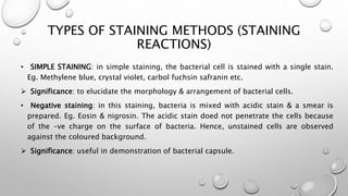 recent microbial techniques & advancement in identifying, cultivating ...