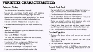 Recent trends in beetroot production.pptx