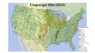 Recent trends in crops water productivity across the contiguous states ...