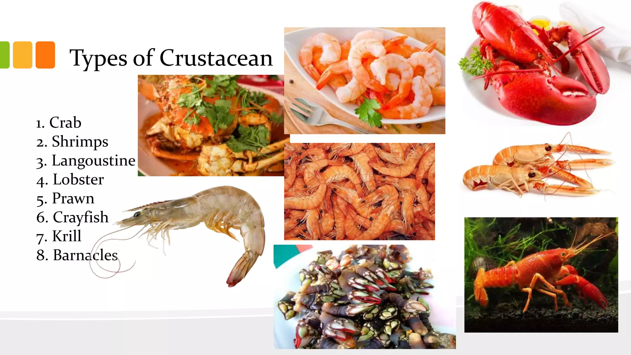 Recent trends in seafood | PPT