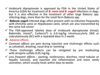 Recent trends in the therapeutic management of babesiosis.pptx