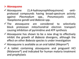 Recent trends in the therapeutic management of babesiosis.pptx