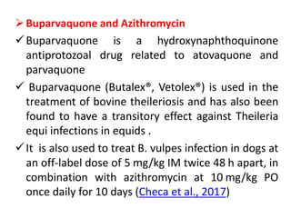 Recent trends in the therapeutic management of babesiosis.pptx