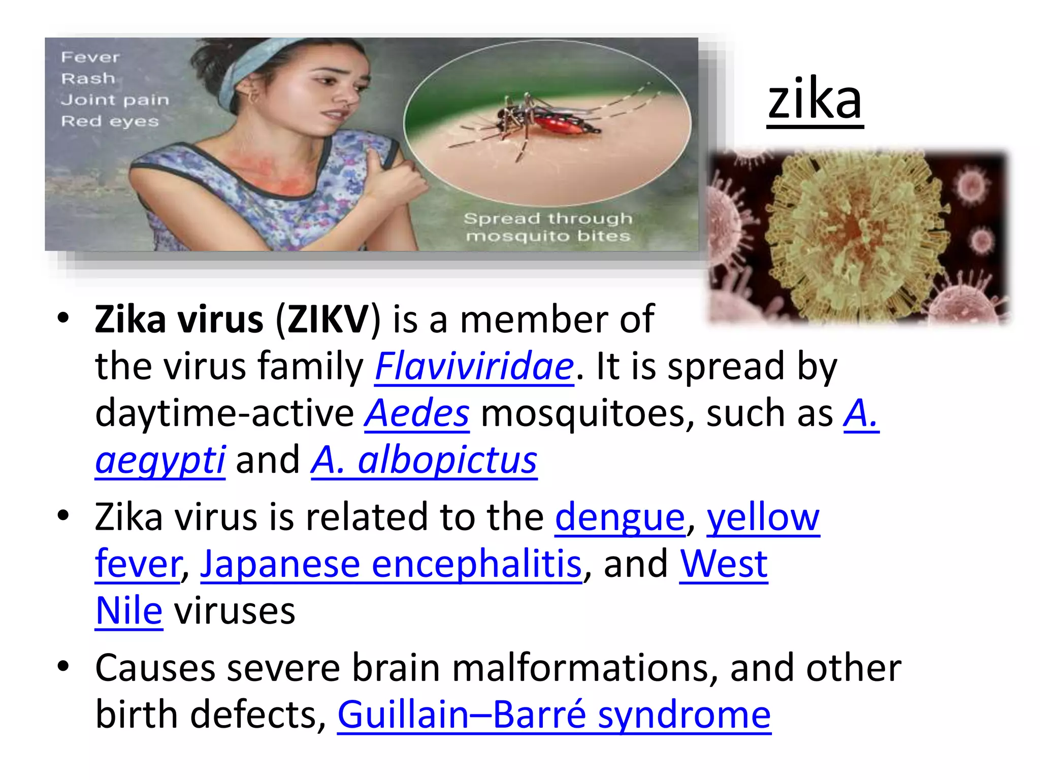 viruses and viral diseases | PPTX