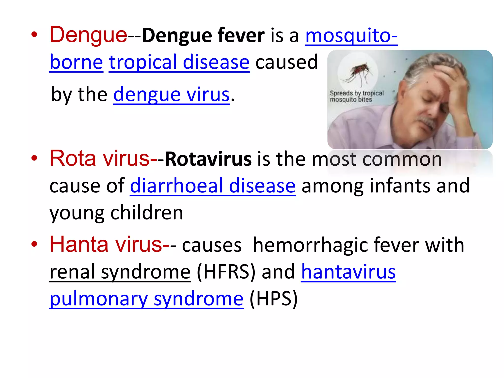 viruses and viral diseases | PPTX