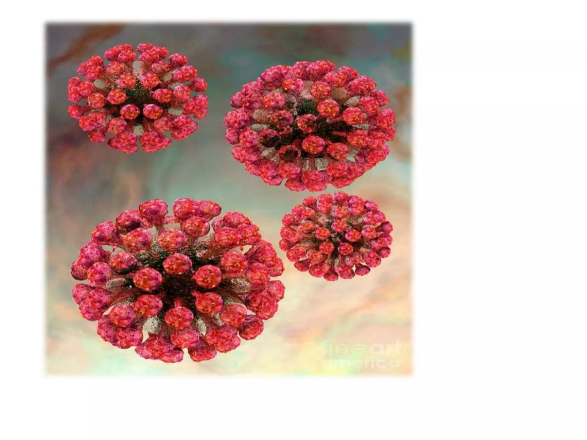 viruses and viral diseases | PPTX