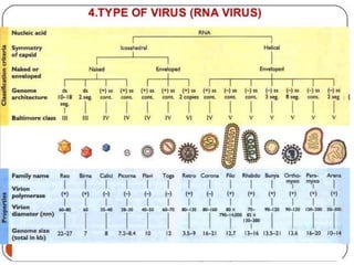 viruses and viral diseases | PPTX