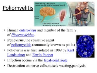 viruses and viral diseases | PPTX