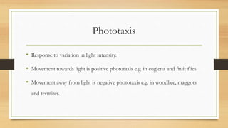 Reception and response | PPT