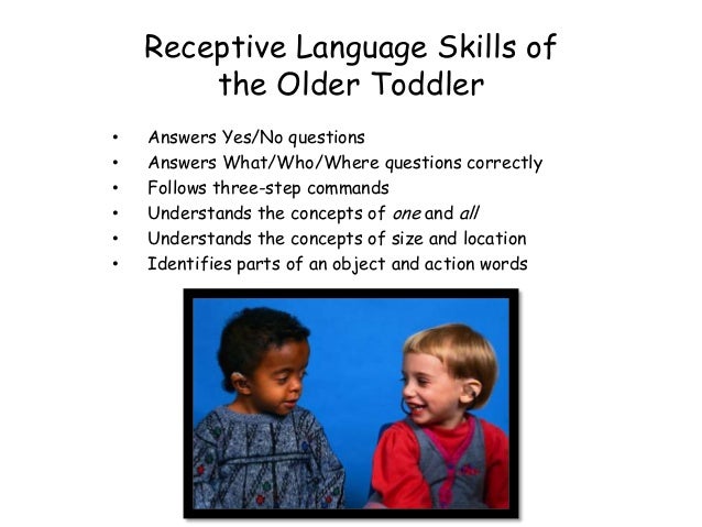 Receptive Language Skills 2012 Receptive Language Skills 2012