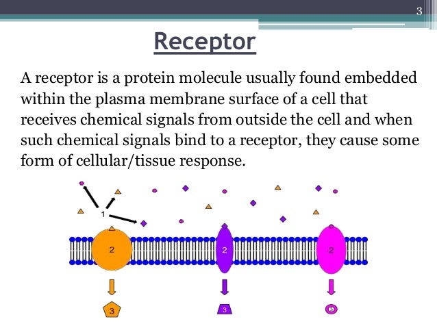 Receptor