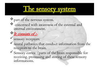 Receptor and sensory pathways for medical students | PPT