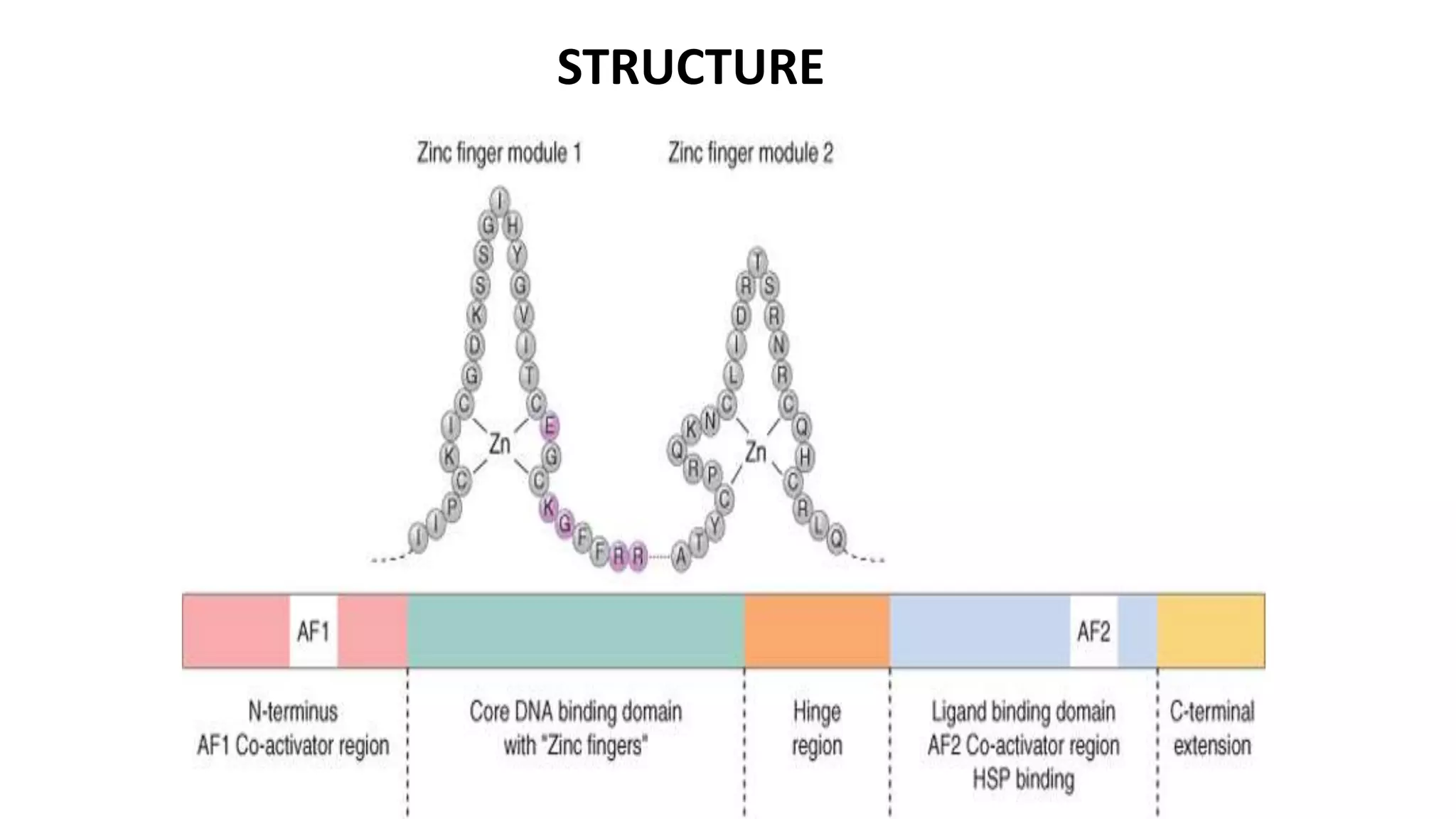 Receptor- ligand gated,enzyme linked, nuclear. | PPTX
