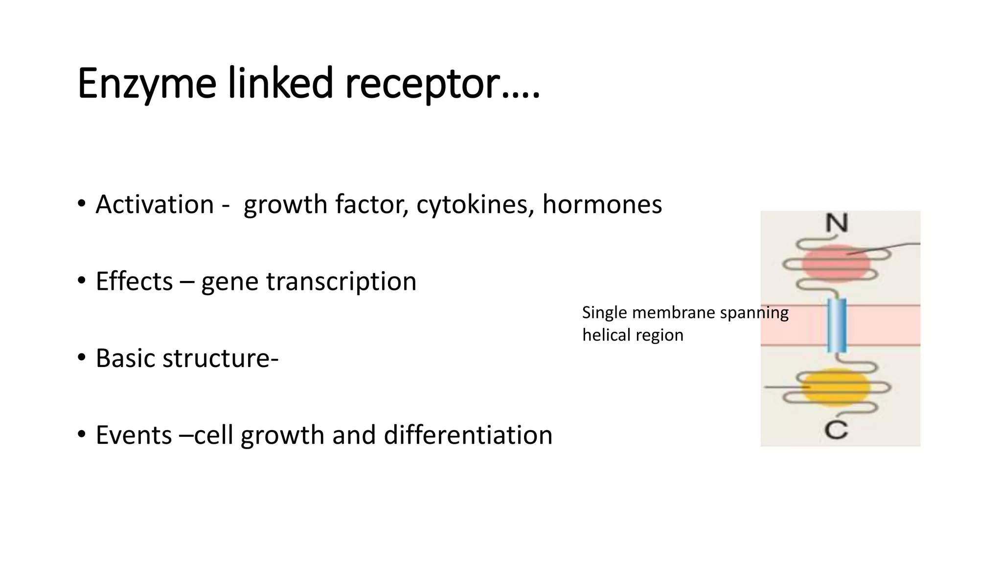 Receptor- ligand gated,enzyme linked, nuclear. | PPTX