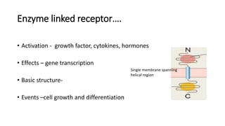 Receptor- ligand gated,enzyme linked, nuclear. | PPTX