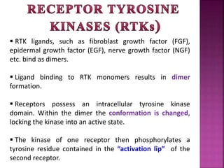 Receptor basics | PPTX | Endocrine and Metabolic Diseases | Diseases ...