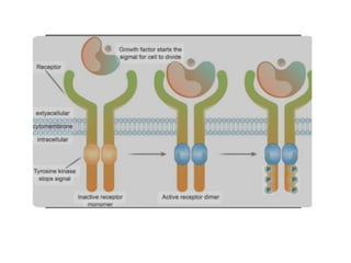 Receptor Classification and Structure.pptx
