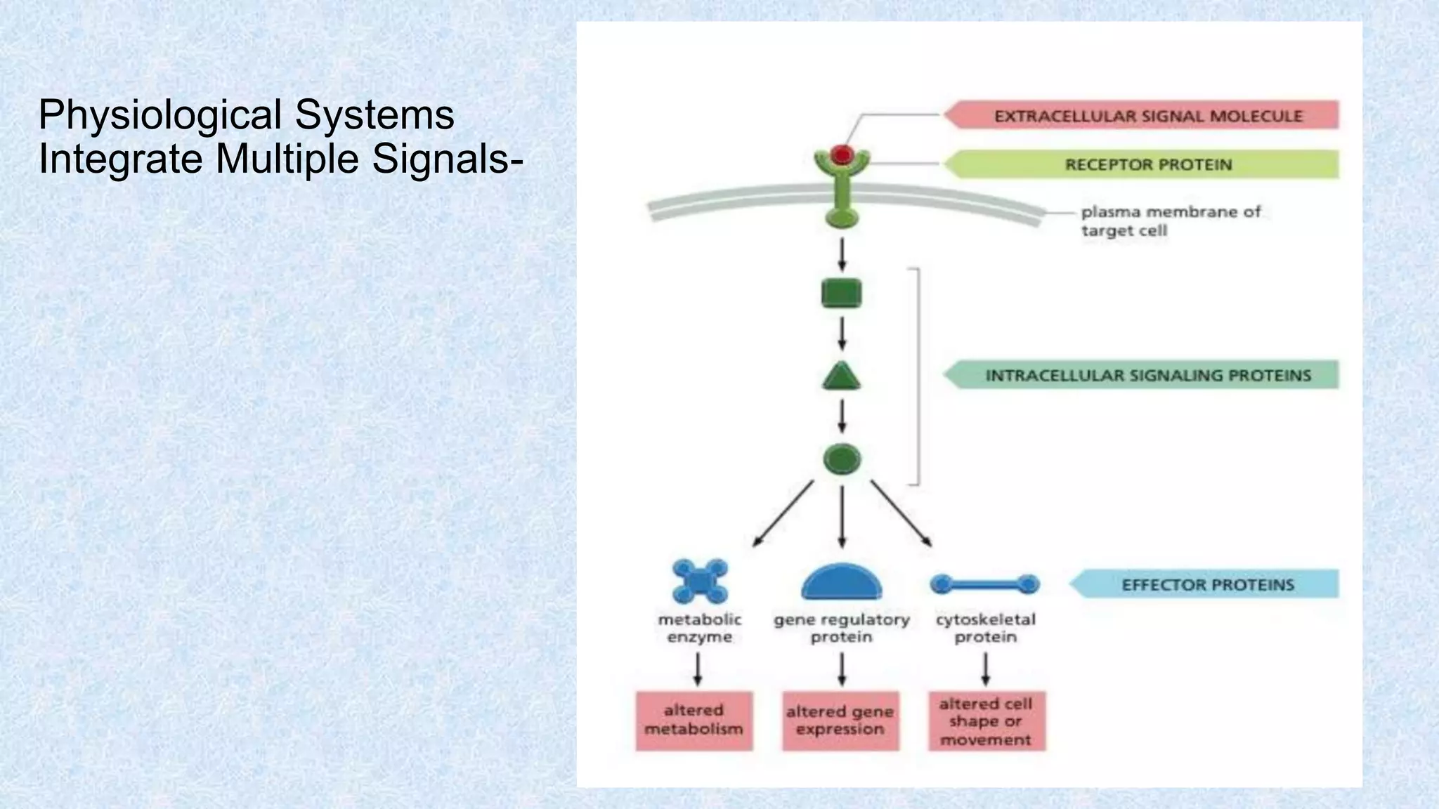 Receptor desensitization and regulation of receptors, Diseases resulting from receptor and ...
