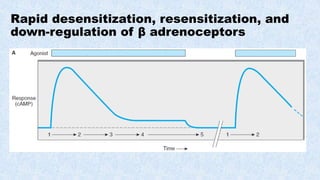 Receptor desensitization and regulation of receptors, Diseases ...