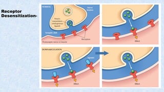 Receptor desensitization and regulation of receptors, Diseases ...