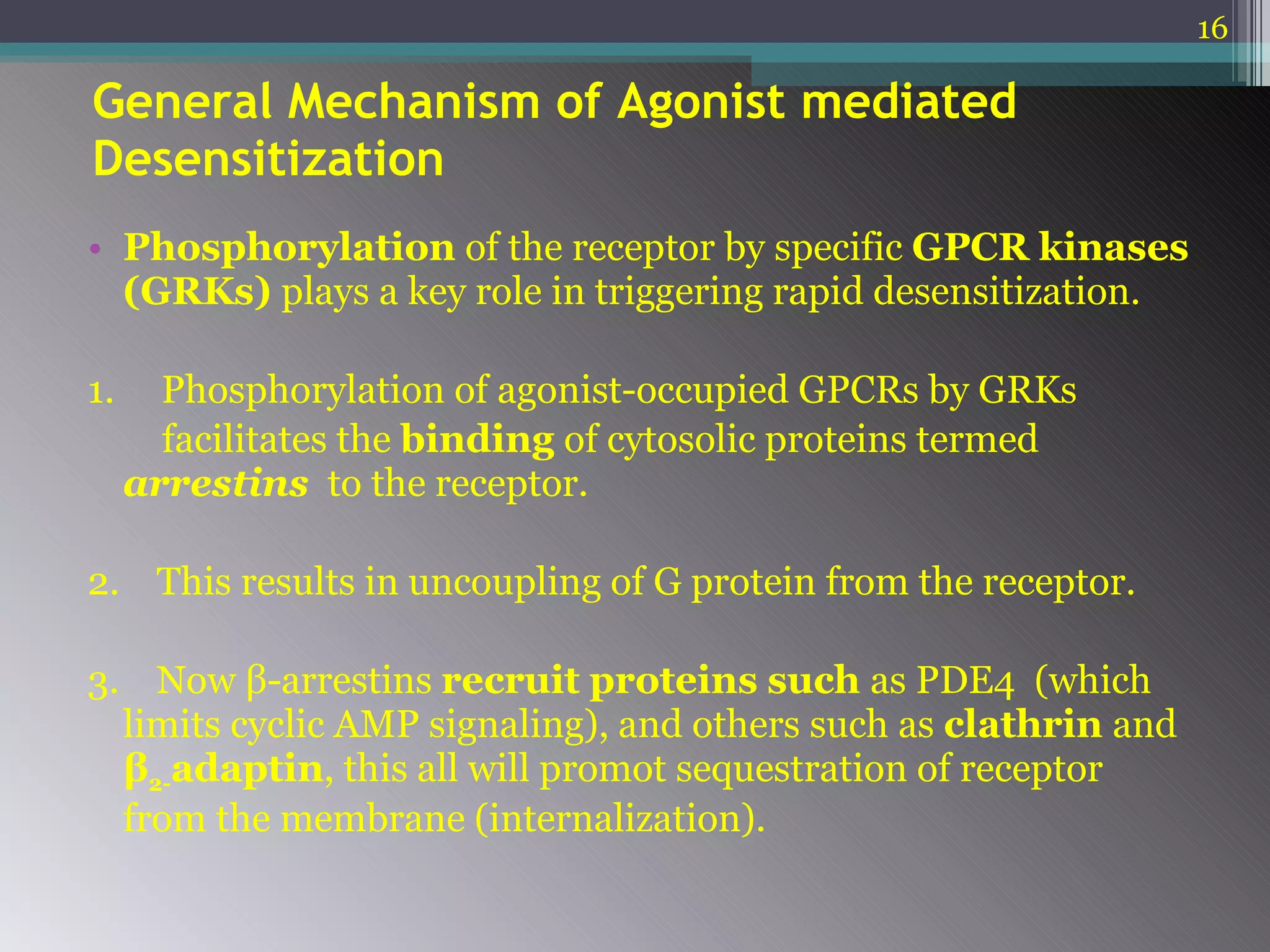 Molecular Pharmacology-Receptor Desensitization | PPT
