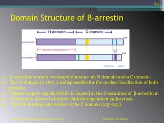 Molecular Pharmacology-Receptor Desensitization | PPT