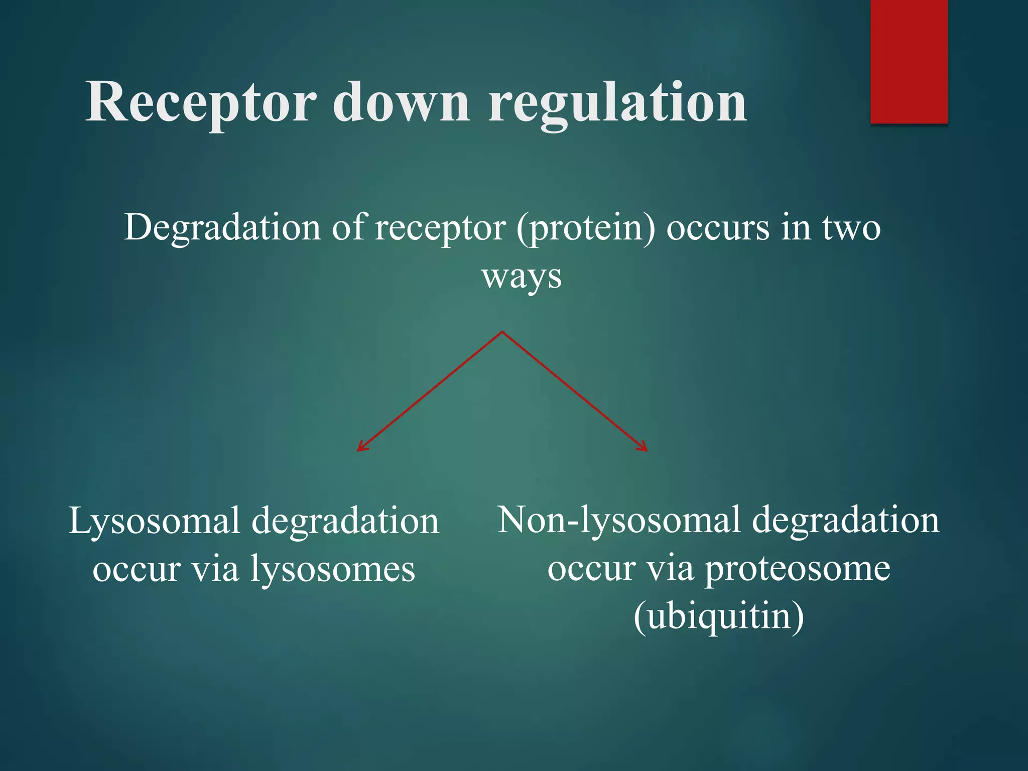 Receptor down regulation | PPTX