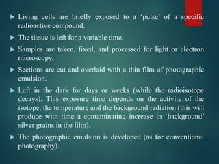 Receptor down regulation | PPTX