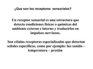 Receptores | PPT