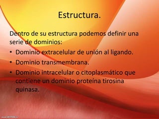 Receptores acoplados a enzimas | PPTX