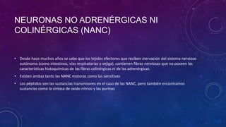 Receptores del sistema nervioso autonomo | PPTX