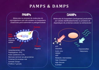 receptores de reconhecimento.pptx