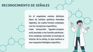 Receptores enzimáticos _20240201_094507_0000.pdf