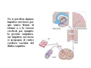 Receptores I | PPT