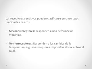 Receptores periféricos | PPTX