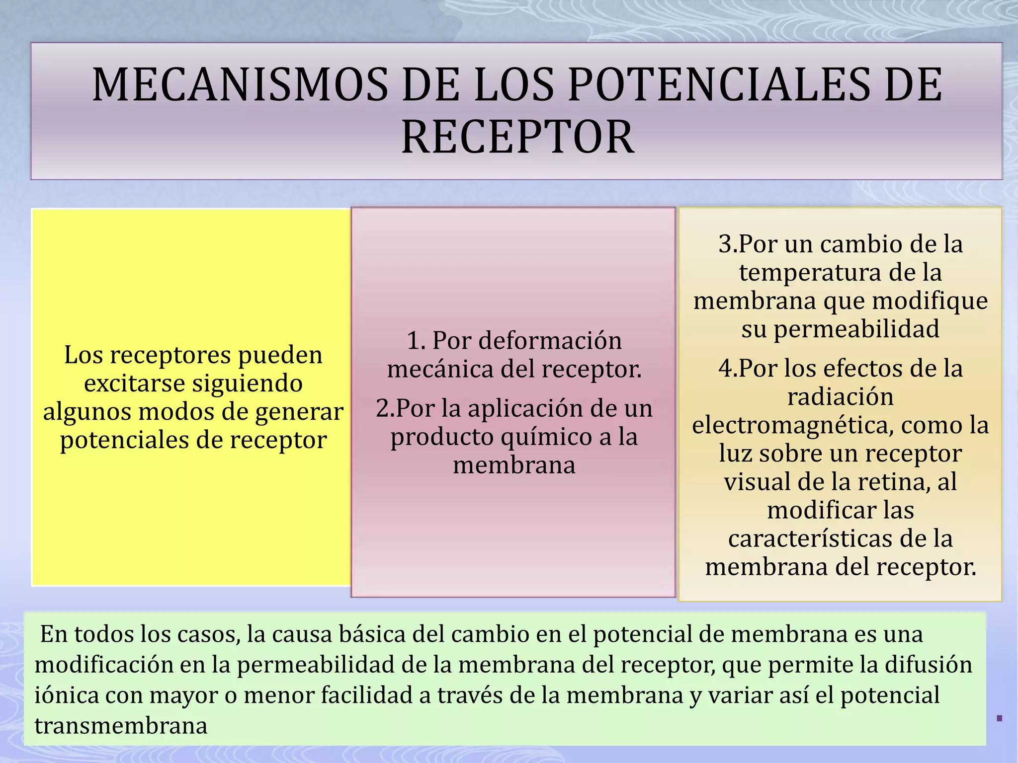 Receptores sensitivos, circuitos neuronales para el procesamiento | PPTX