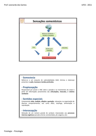 Receptores sensoriais e_sensacoes_somestesicas_psicologia | PDF