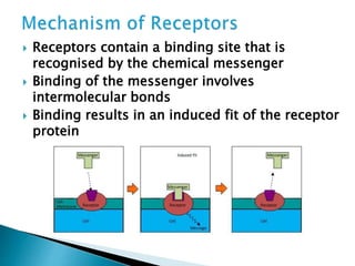 Receptor | PPTX