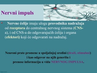 Receptorno-efektorni sistem | PPT