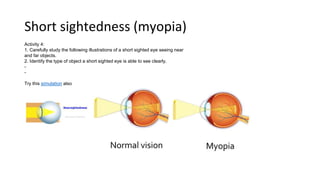 RECEPTOR ORGANS IN MAN.pptx