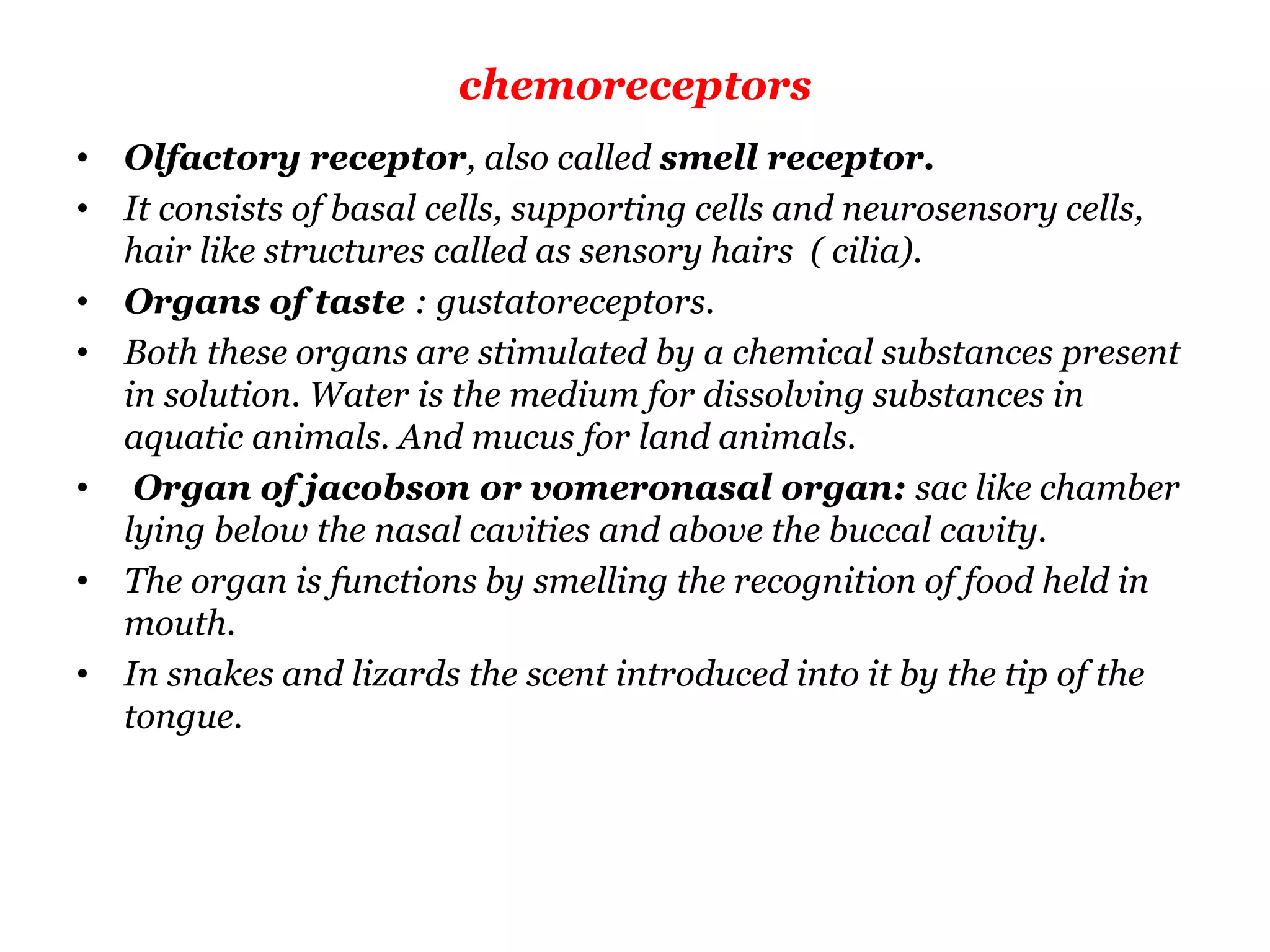 Receptor organs in vertebrates | PDF