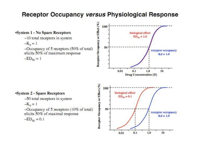 Receptor Pharmacology | PPTX | Chemistry | Science