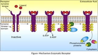 Receptor pharmacology and their subtypes BY ROHIT MARMAT.pptx