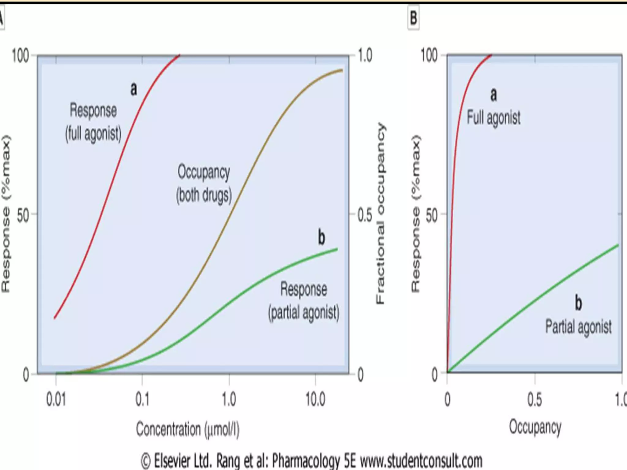 Drug receptor interactions and types of receptor | PPTX