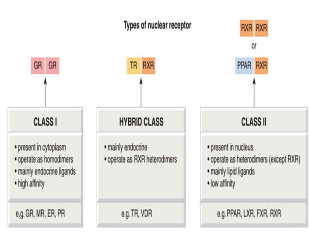 Drug receptor interactions and types of receptor | PPTX | Chemistry ...
