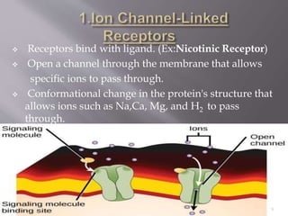 Receptor ramit | PPT